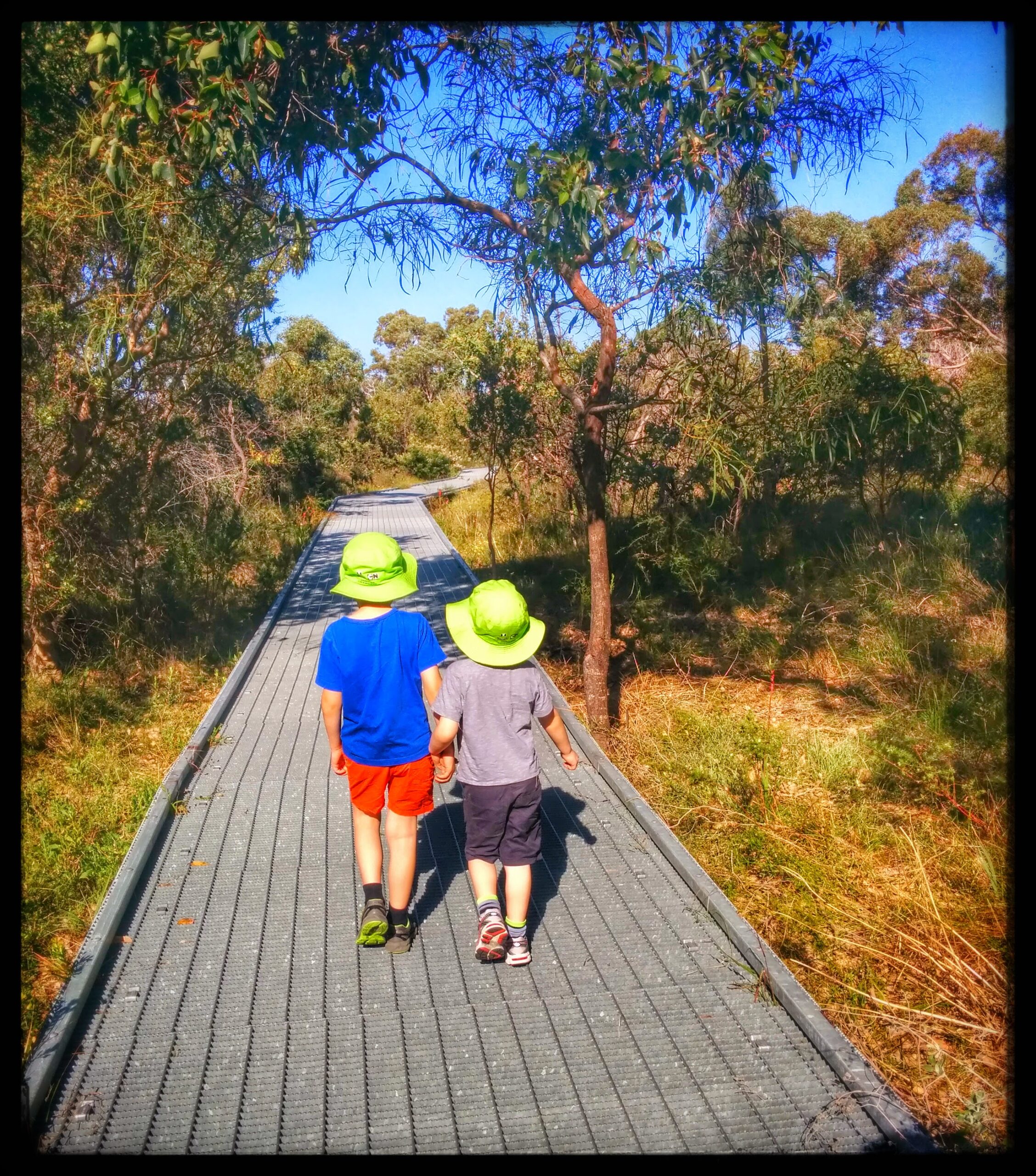 Thriving through the School Holidays – The Same Mountain